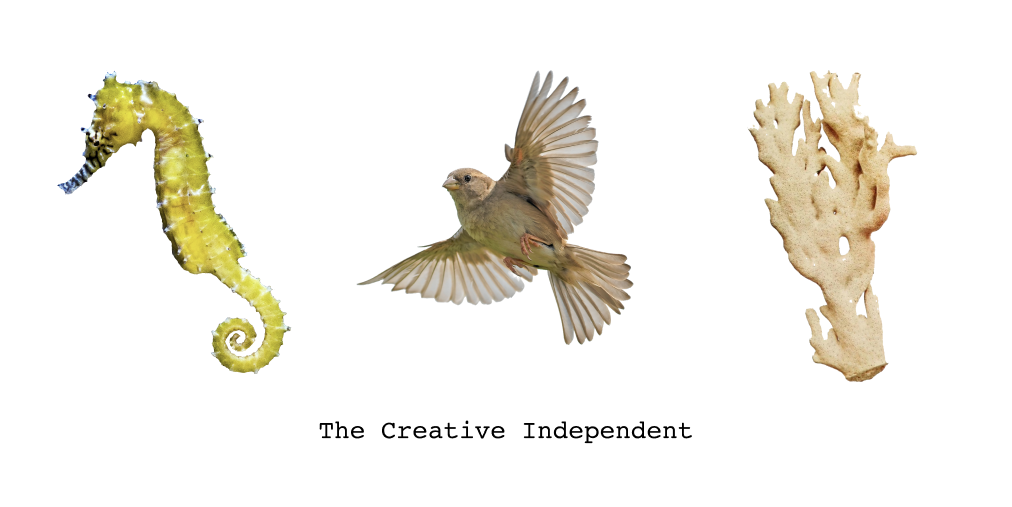 Welcome to The Creative Independent